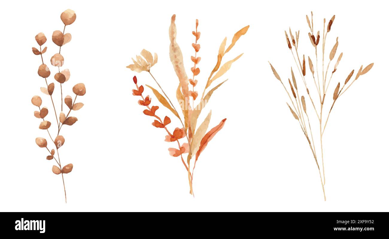 Dried bloom Stock Vector Images - Alamy