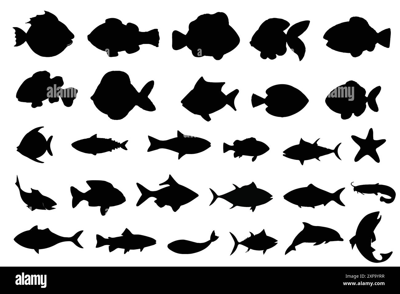 Freshwater fish species silhouette hi-res stock photography and images ...