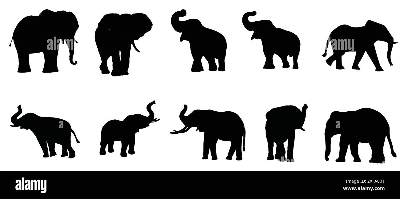 Collection of elephant icons. Set of elephant on white background Stock ...