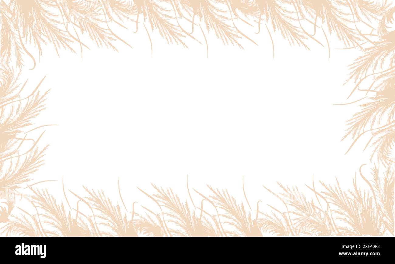 Fluffy pampas grass Stock Vector Images - Alamy