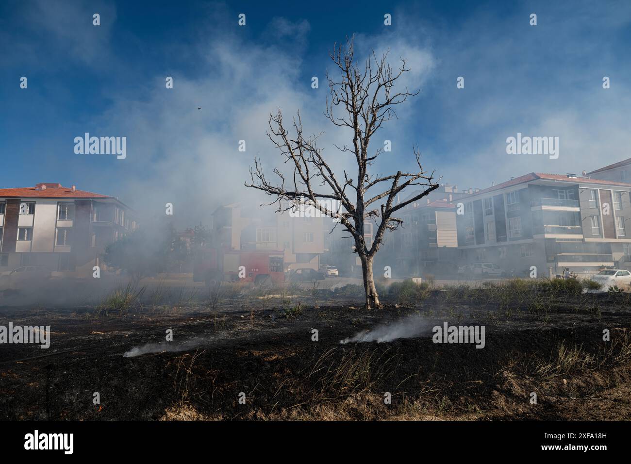Forest fire drill hi-res stock photography and images - Alamy