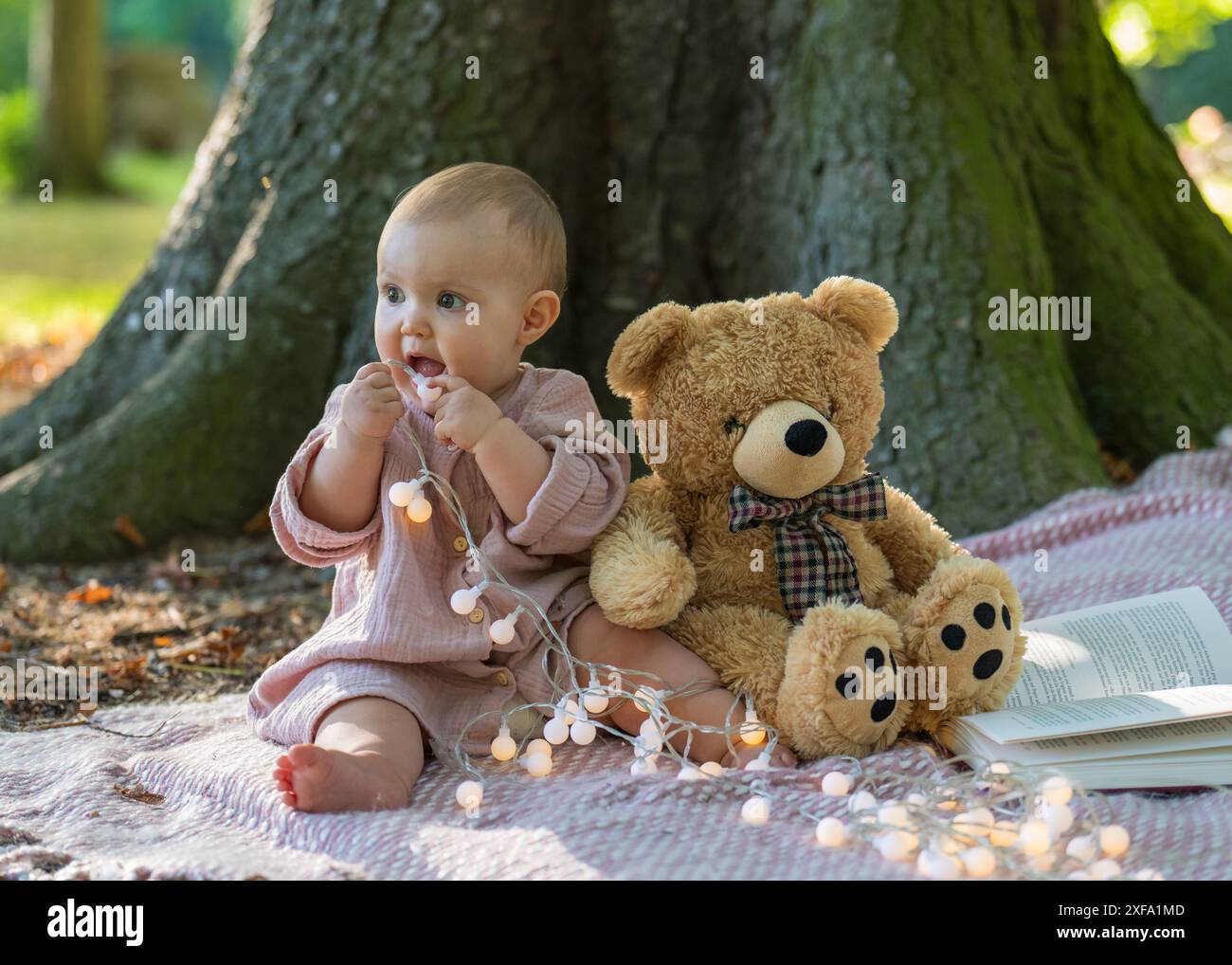 baby girl, bear, teddy, looking, playing, laughing baby, blond ...