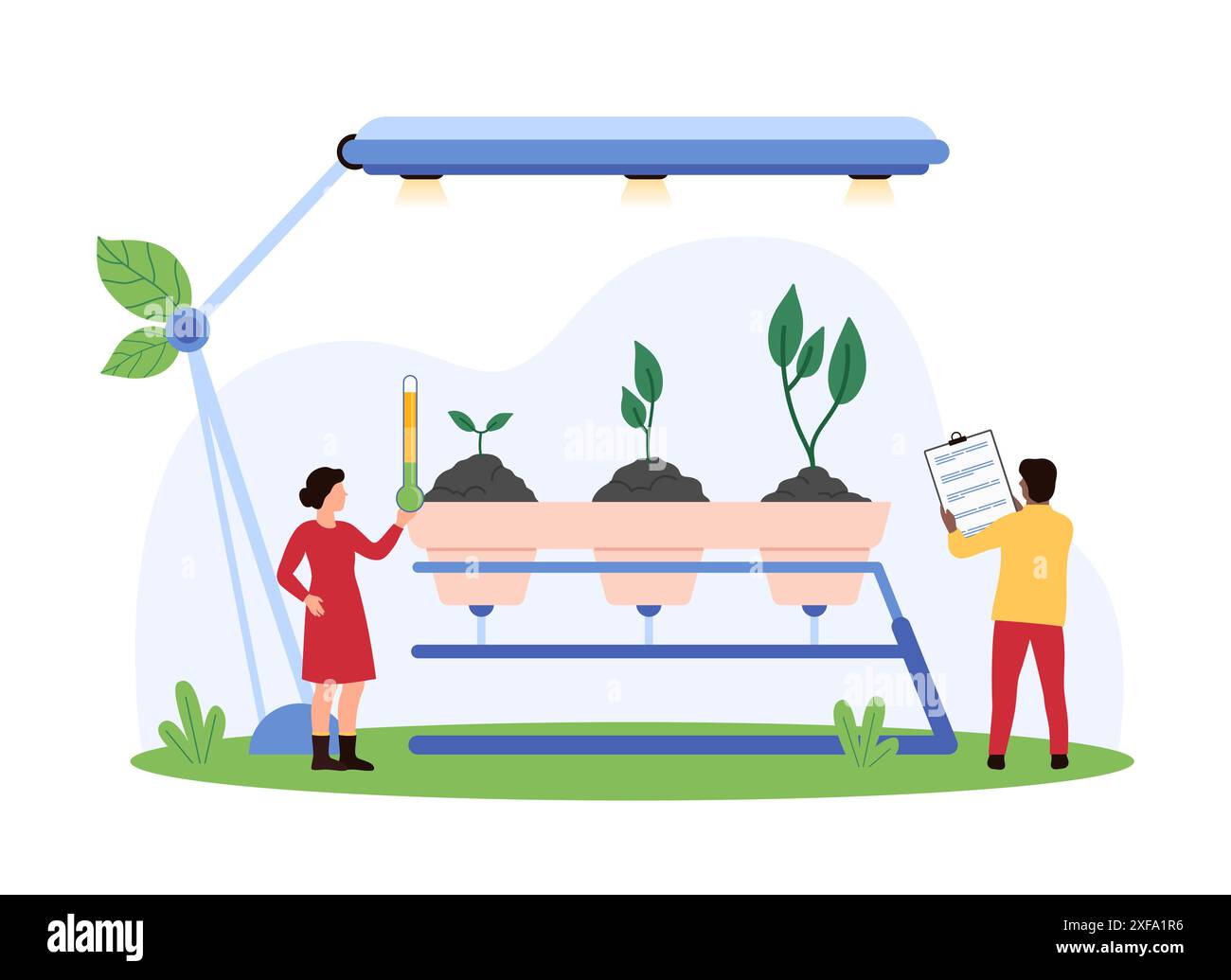 Eco farming, growing agricultural plants using hydroponic system ...