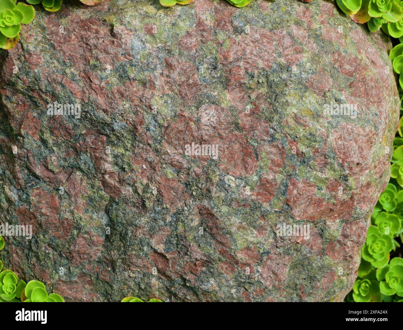 Photo of a reddish granite surface of a boulder, suitable for use as a ...