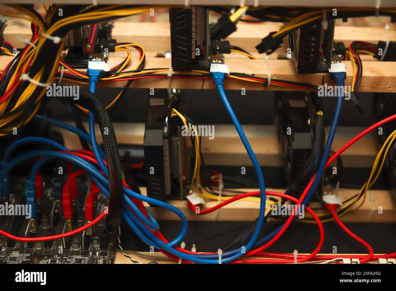 Close-up of network connection plug in data center. Network server ...