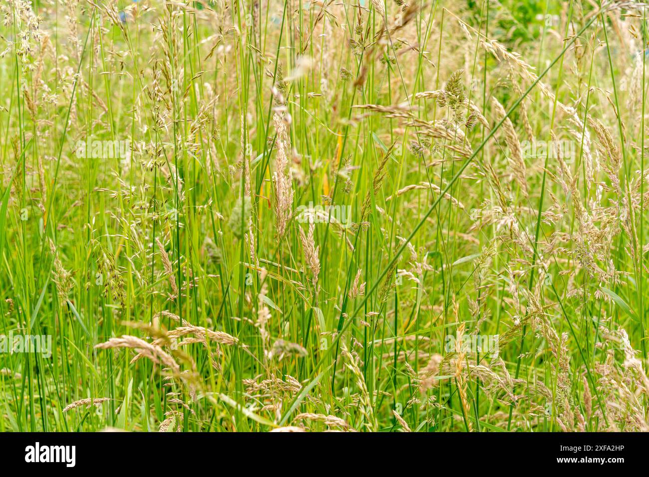 Low angle shot texture hi-res stock photography and images - Alamy
