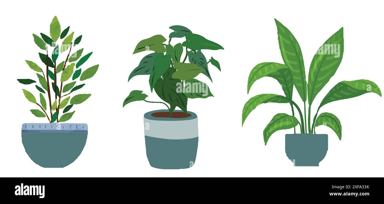 Growing house plants Stock Vector Images - Alamy