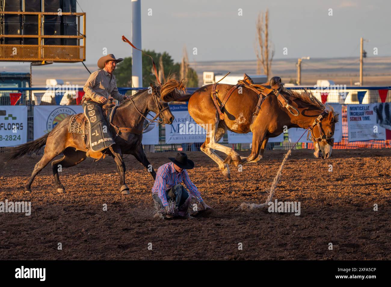 Professional rodeo cowboy Stran Nielson gets bucked off in the saddle ...