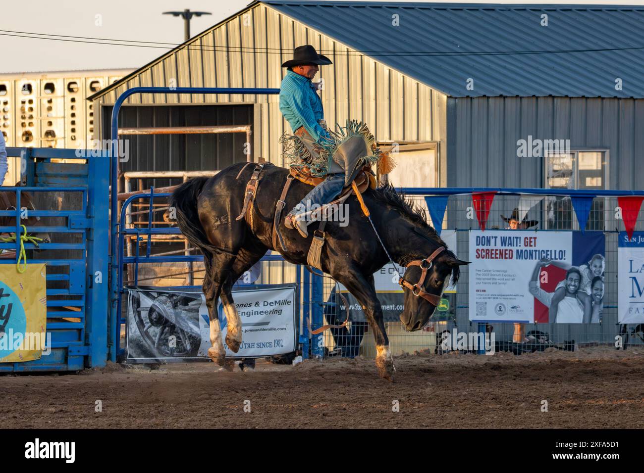 Professional rodeo cowboy Cody Weeks in the saddle bronc event in a ...