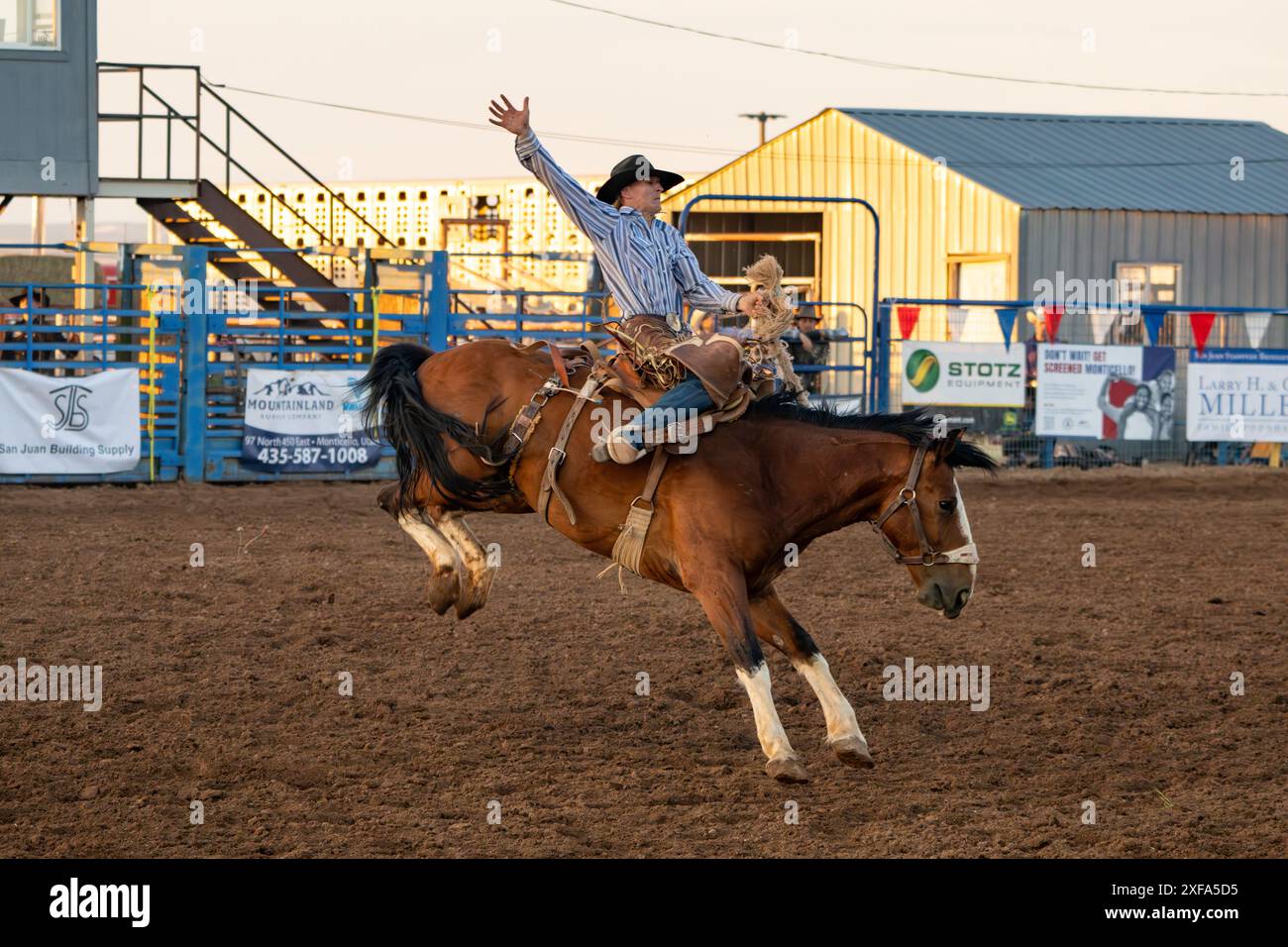 Professional rodeo cowboy Carson Bingham in the saddle bronc event in a ...