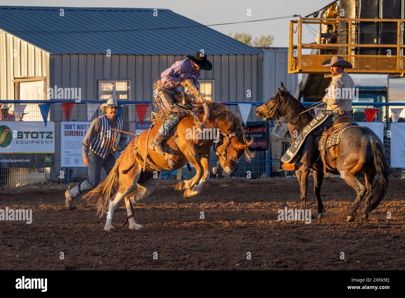 Professional rodeo cowboy Stran Nielson in the saddle bronc event in a ...