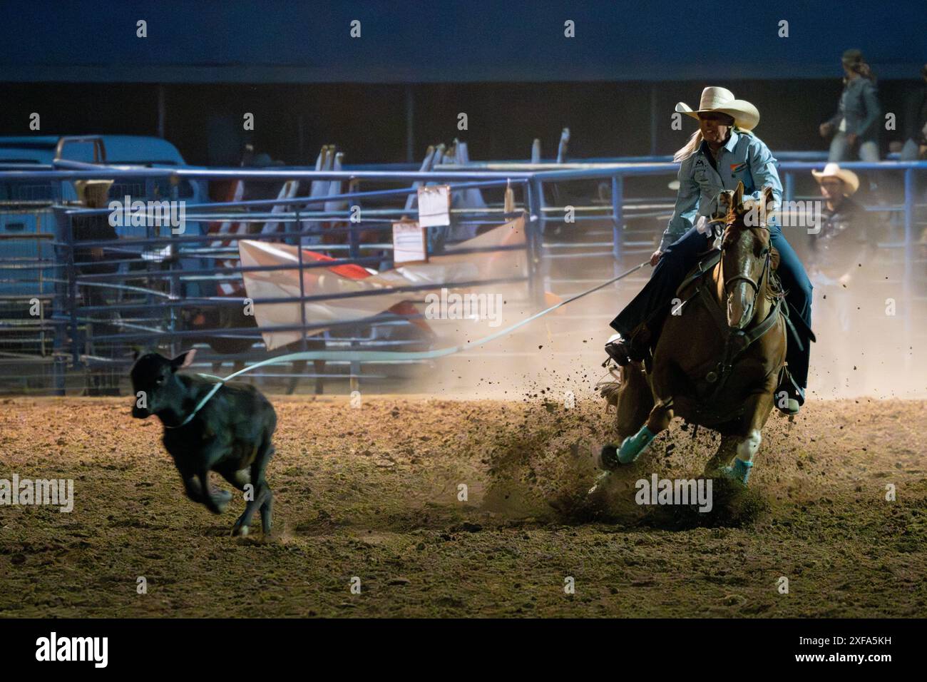 A cowgirl competing in the breakaway roping event successfully ropes a ...