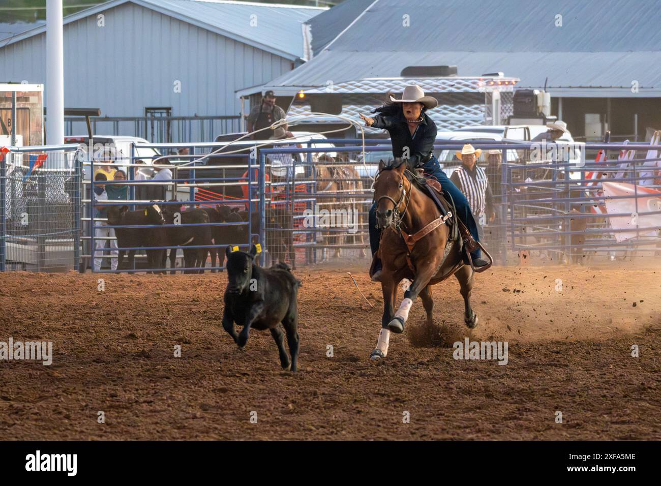 A cowgirl competing in the breakaway roping event throws a loop as she ...