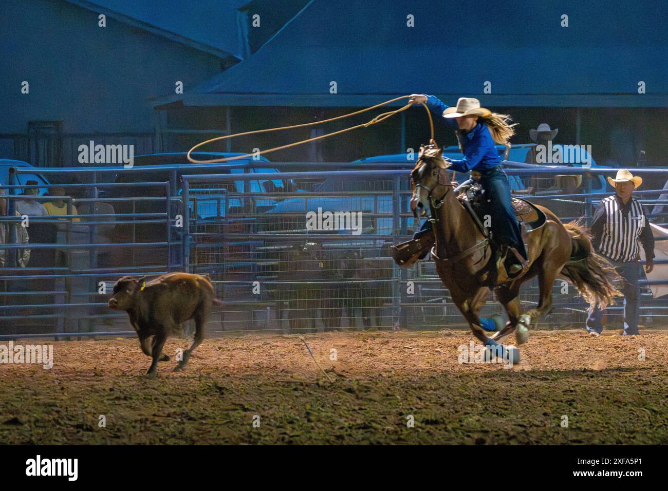 A cowgirl competing in the breakaway roping event chases a calf in a ...
