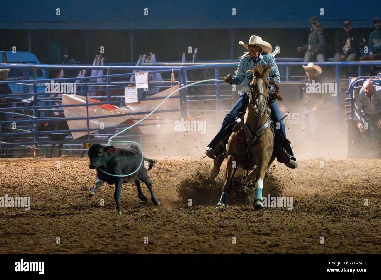 A cowgirl competing in the breakaway roping event successfully ropes a ...