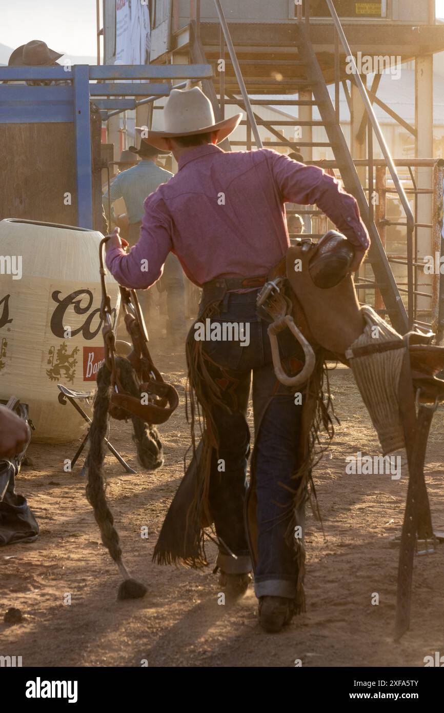 A saddle bronc cowboy carries his special bucking saddle to the bucking ...