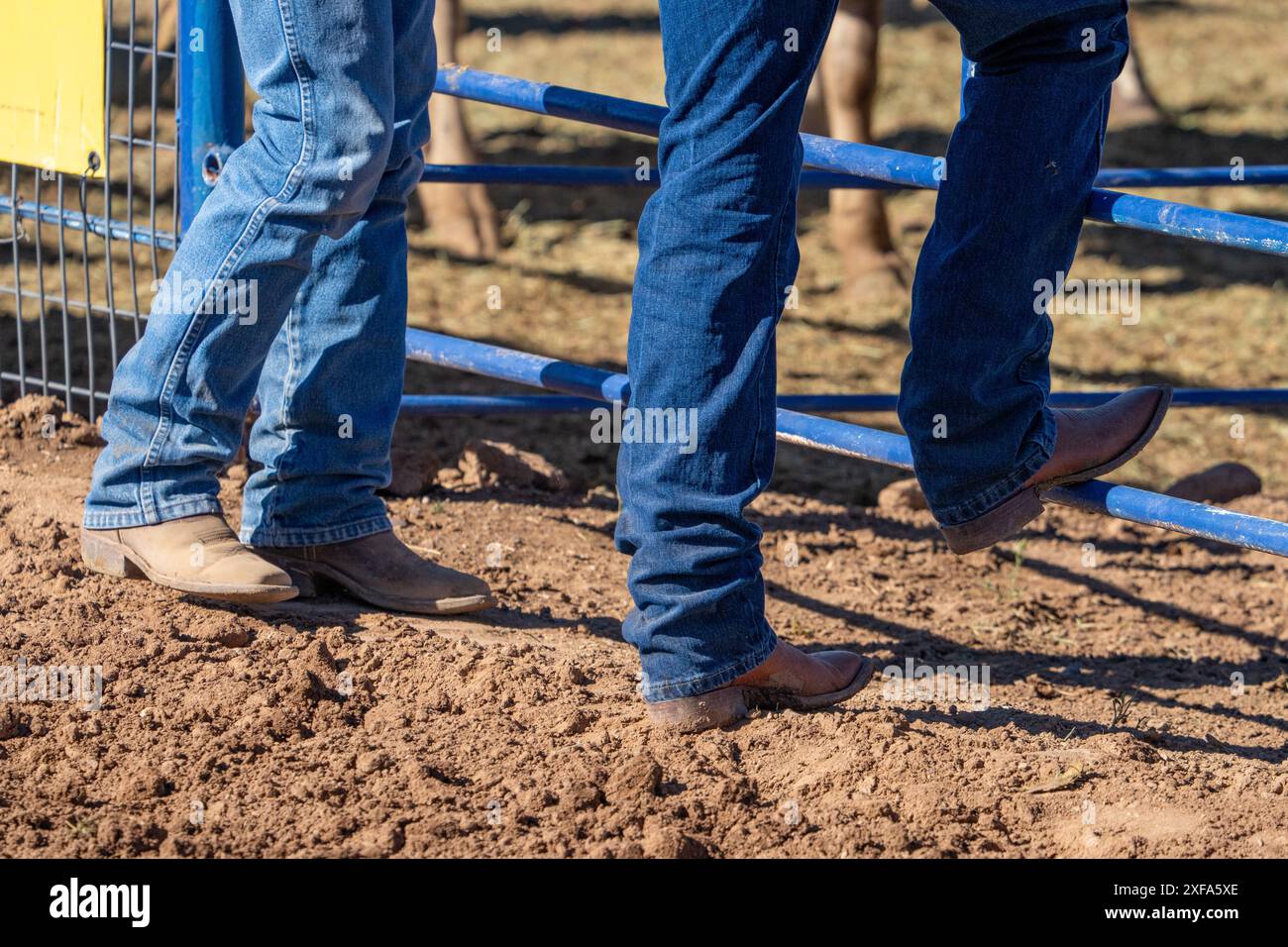 Boots on a couple of cowboys standing by a fence in a rodeo arena in ...