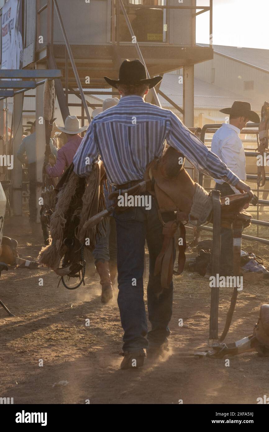 A saddle bronc cowboy carries his special bucking saddle to the bucking ...
