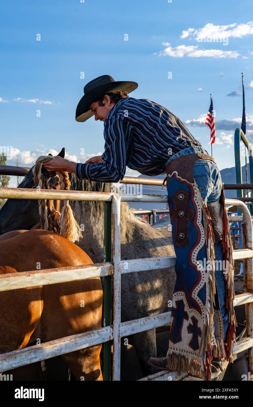 A saddle bronc cowboy Logan Nunn puts his bronc rein & halter on the ...