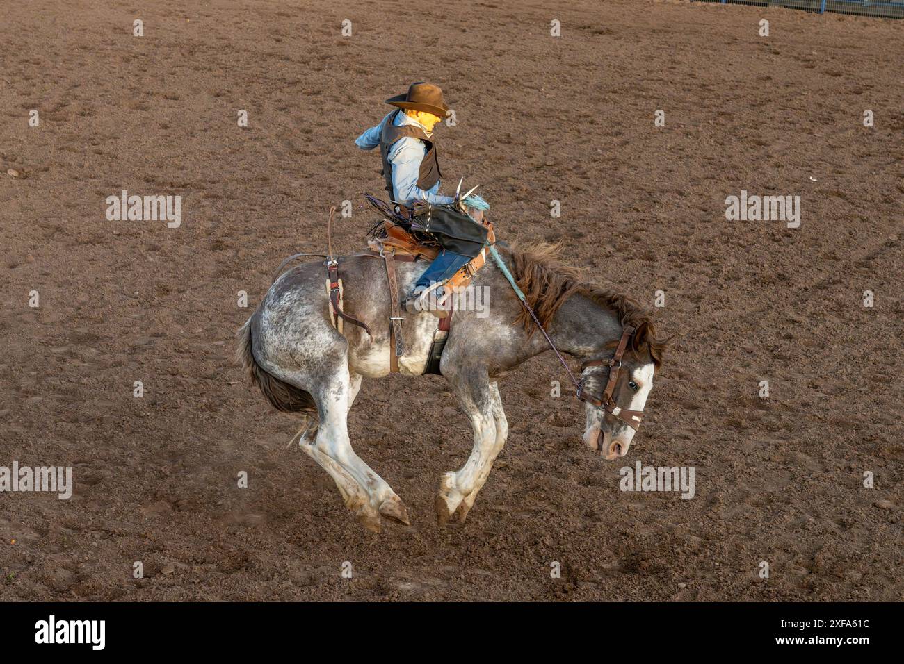 Professional rodeo cowboy Jack Skavdahl in the saddle bronc event in a ...