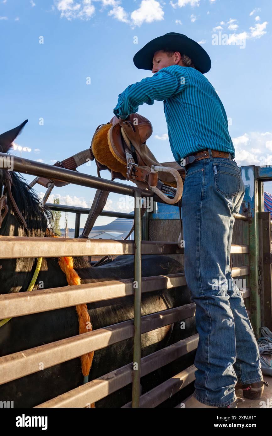 A saddle bronc cowboy saddles up the bucking horse in the chute at a ...