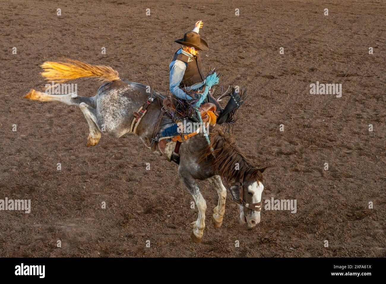 Jack skavdahl hi-res stock photography and images - Alamy