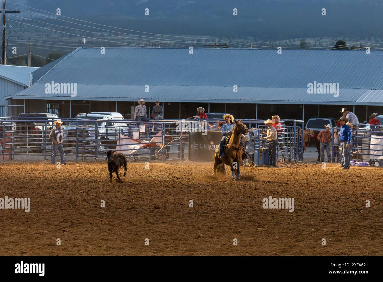 A cowgirl competing in the breakaway roping event successfully ropes a ...