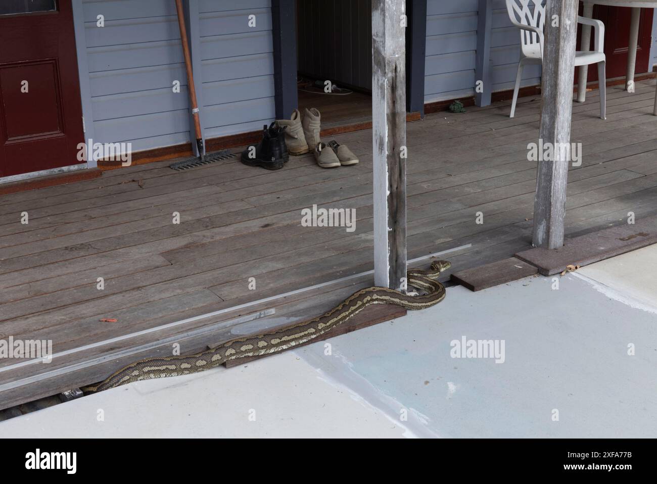 Appears to be an adult hi-res stock photography and images - Alamy