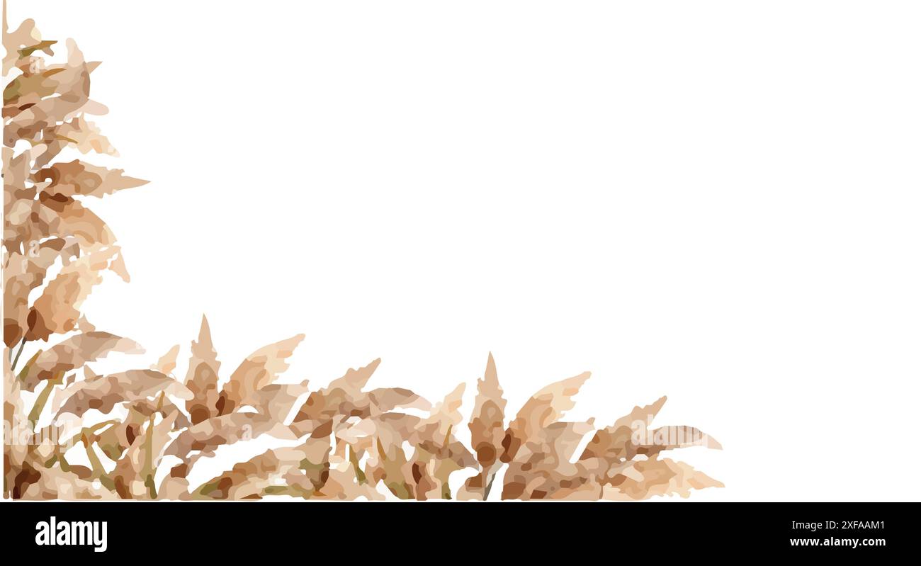 Pampas grass arrangement Stock Vector Images - Alamy