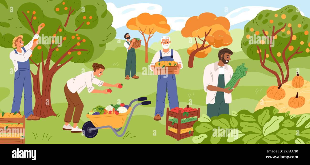 Happy farmers at harvest. Gardeners collect fruits from trees. People ...