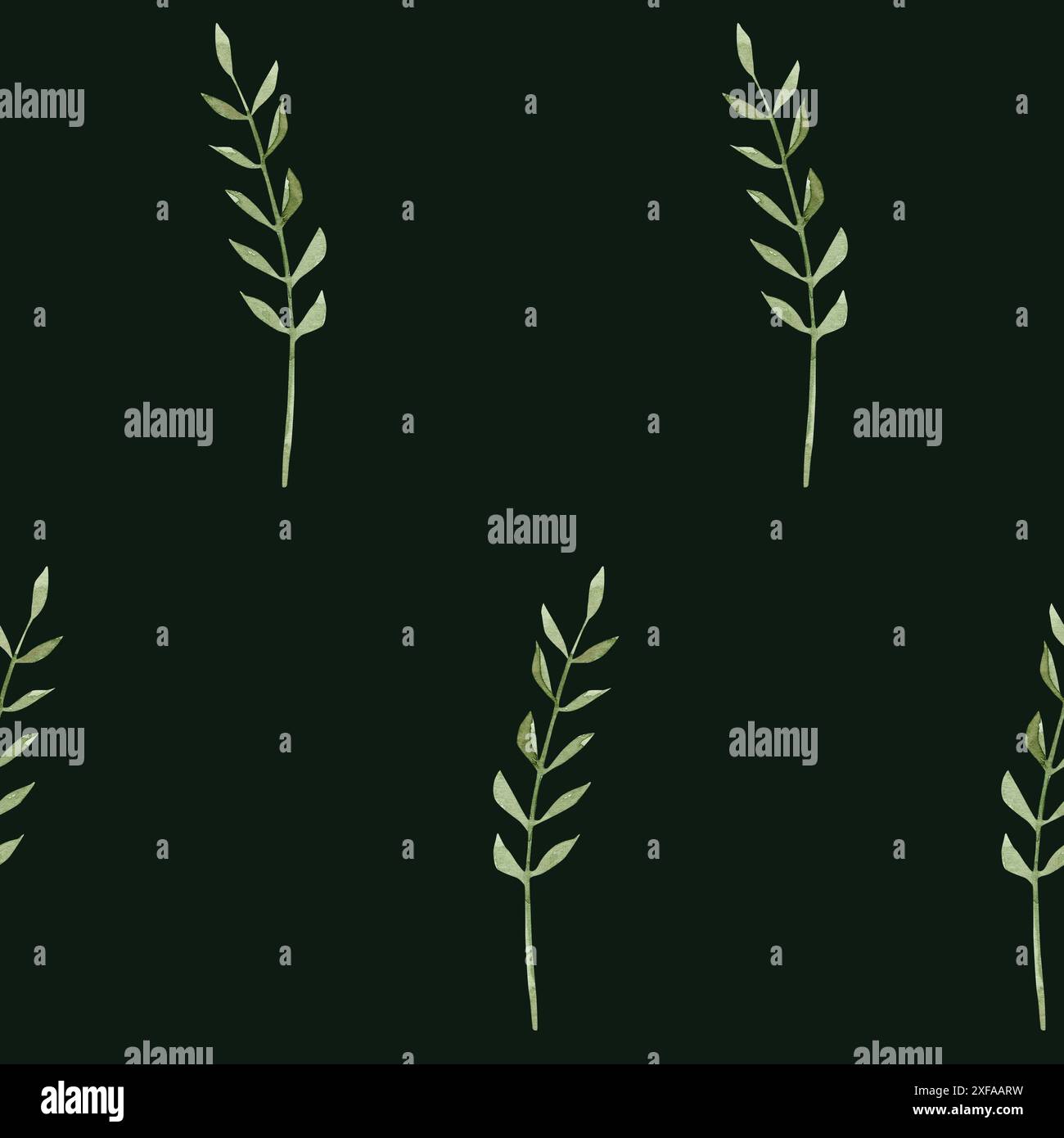Plant pattern on dark background. Watercolor hand-drawn illustration ...