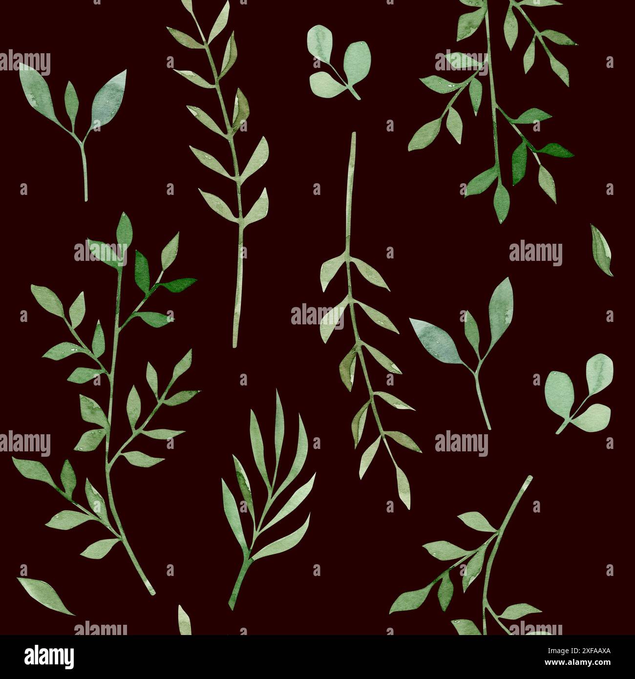 Plant pattern on dark background. Watercolor hand-drawn illustration ...