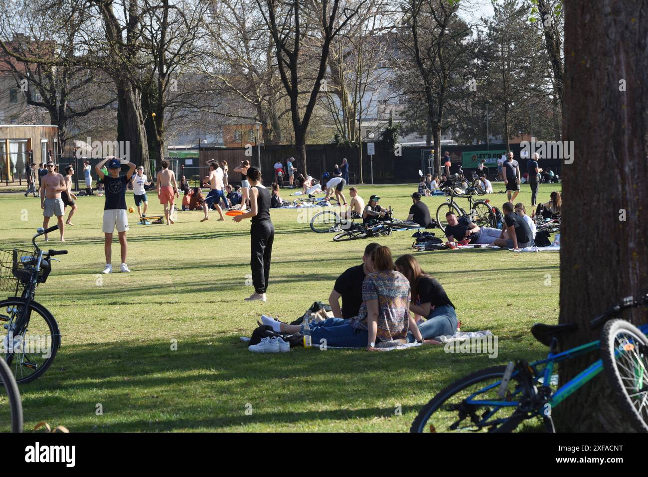 a network or a gathering of people in a group network or gathering of ...