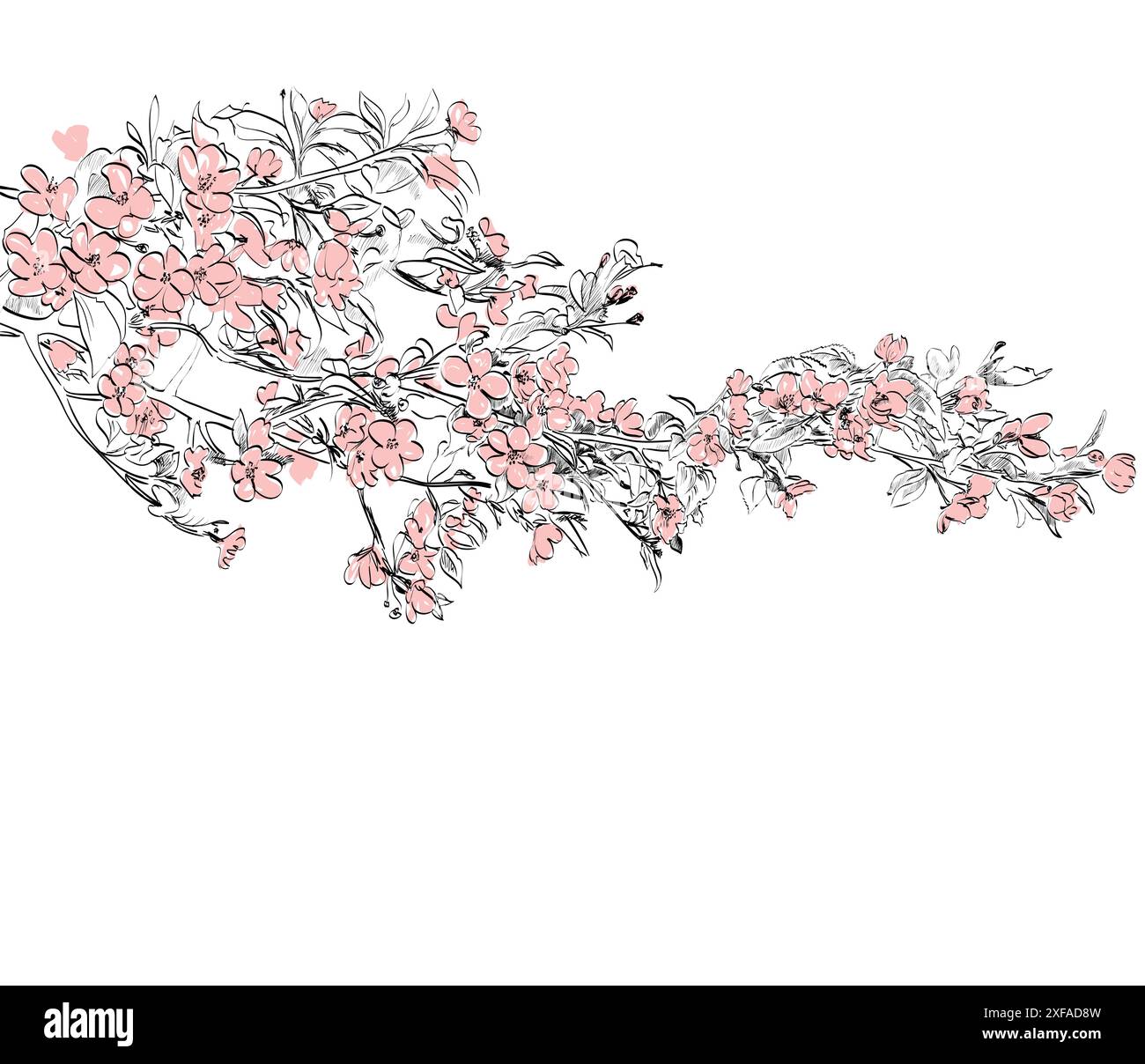 Cherry blossom park Stock Vector Images - Alamy
