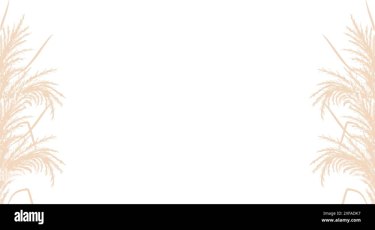 Pampas grass border Stock Vector Images - Alamy