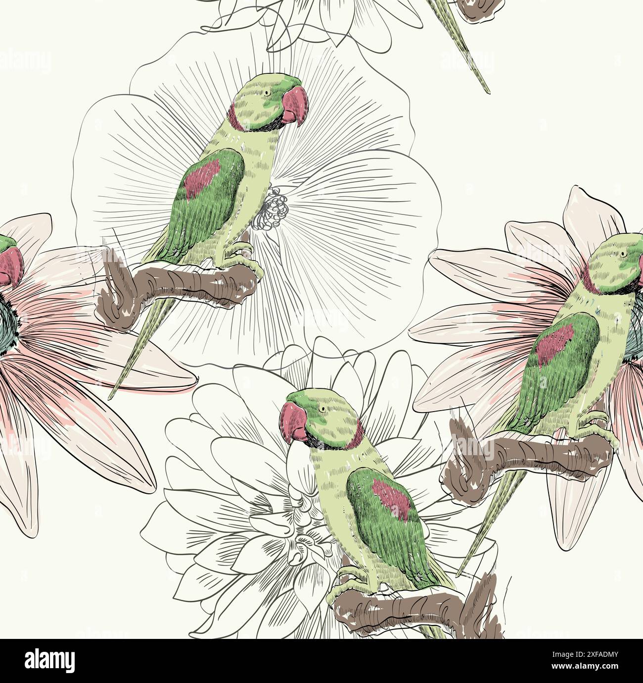 Vector sketch of a parrot with flower. Hand drawn illustration Stock ...