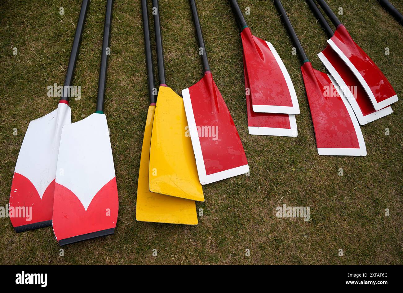A view of rowing blades from different clubs on the grass on the ...
