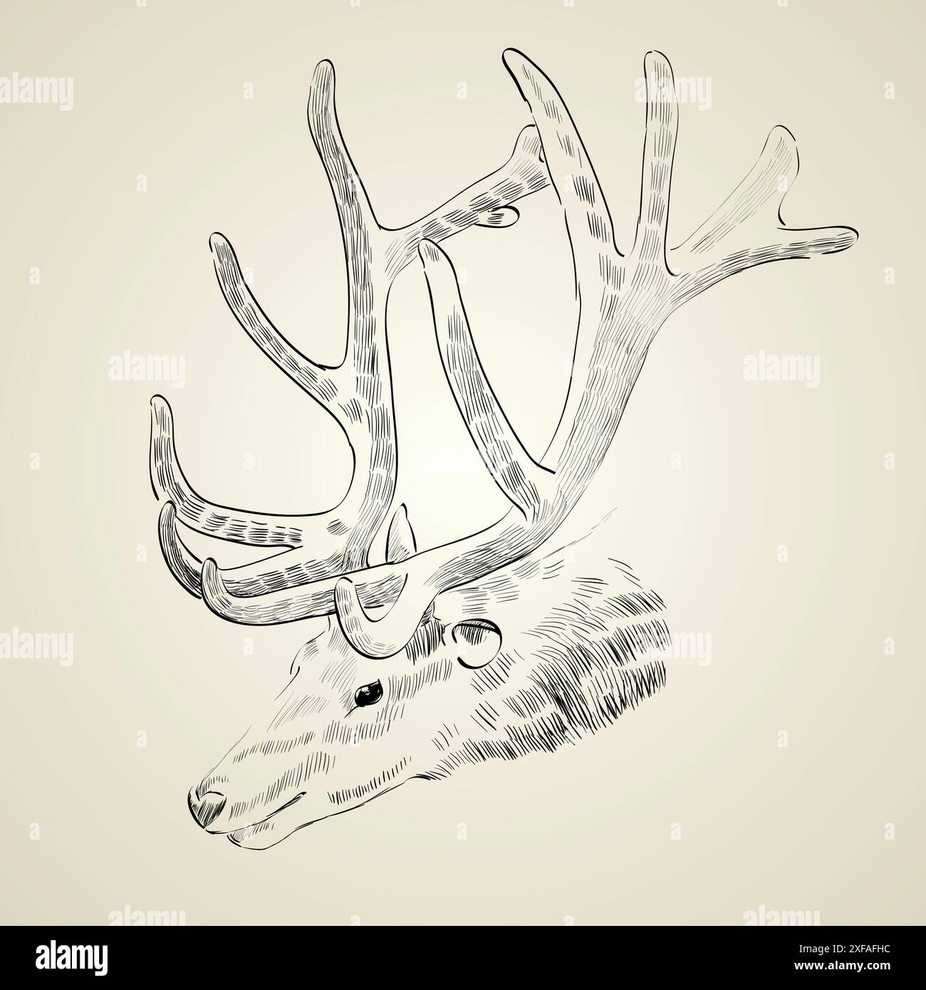 Beige fur Stock Vector Images - Alamy