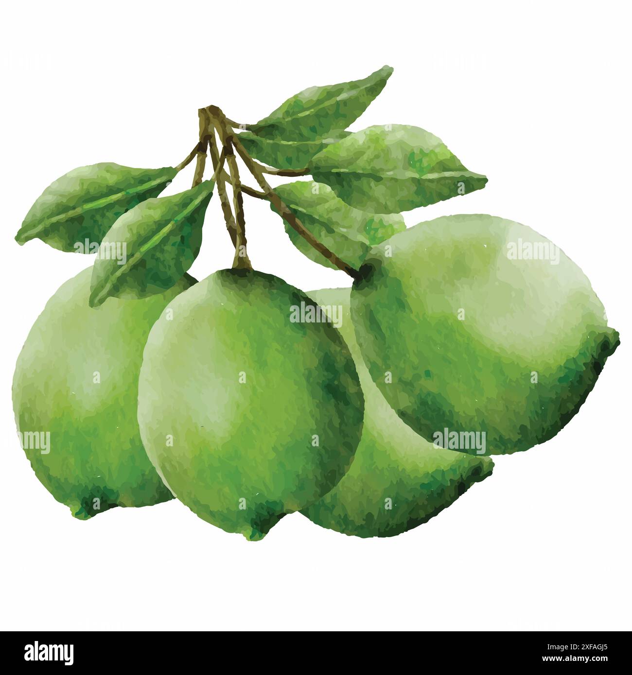 Fruit with leaves Stock Vector Images - Alamy
