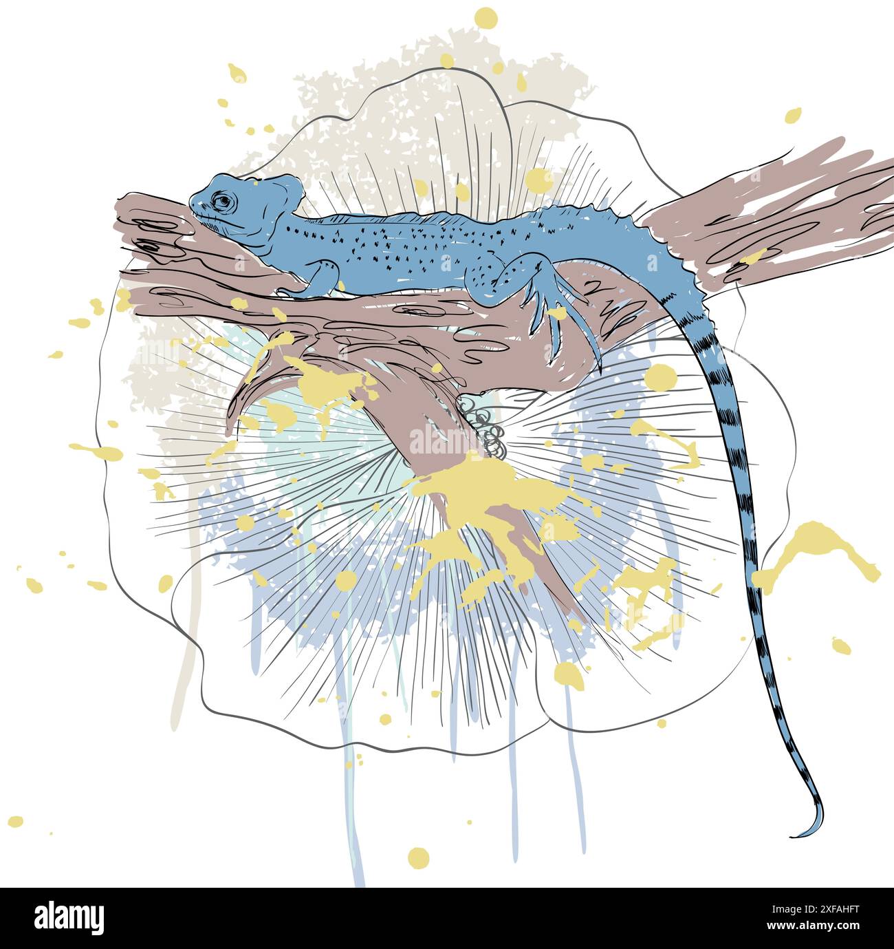 Hand drawn sketch lizard Stock Vector Images - Alamy