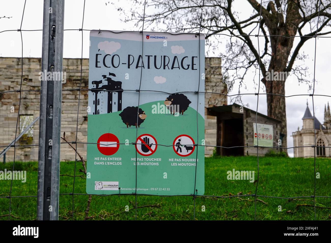 Eco-paturage, eco-grazing, pasture set up for ecological management of ...