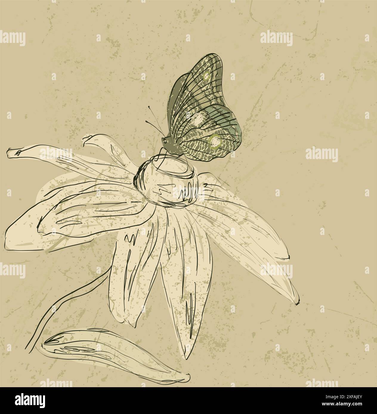 Illustration of beautiful butterflies flying around flower Stock Vector ...