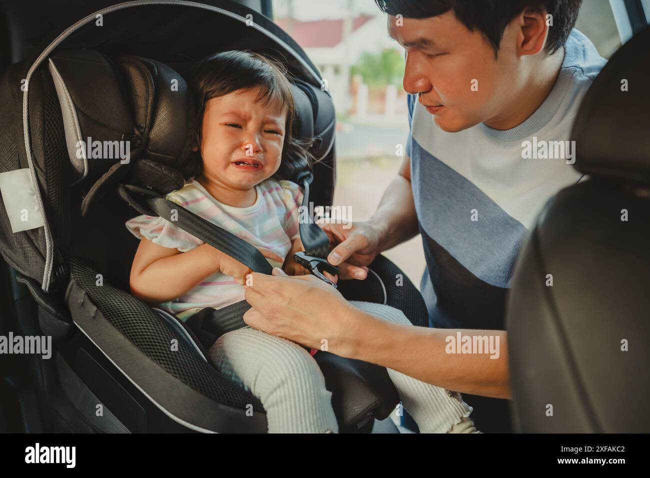 father is fastening safety belt to crying toddler girl in a car seat ...