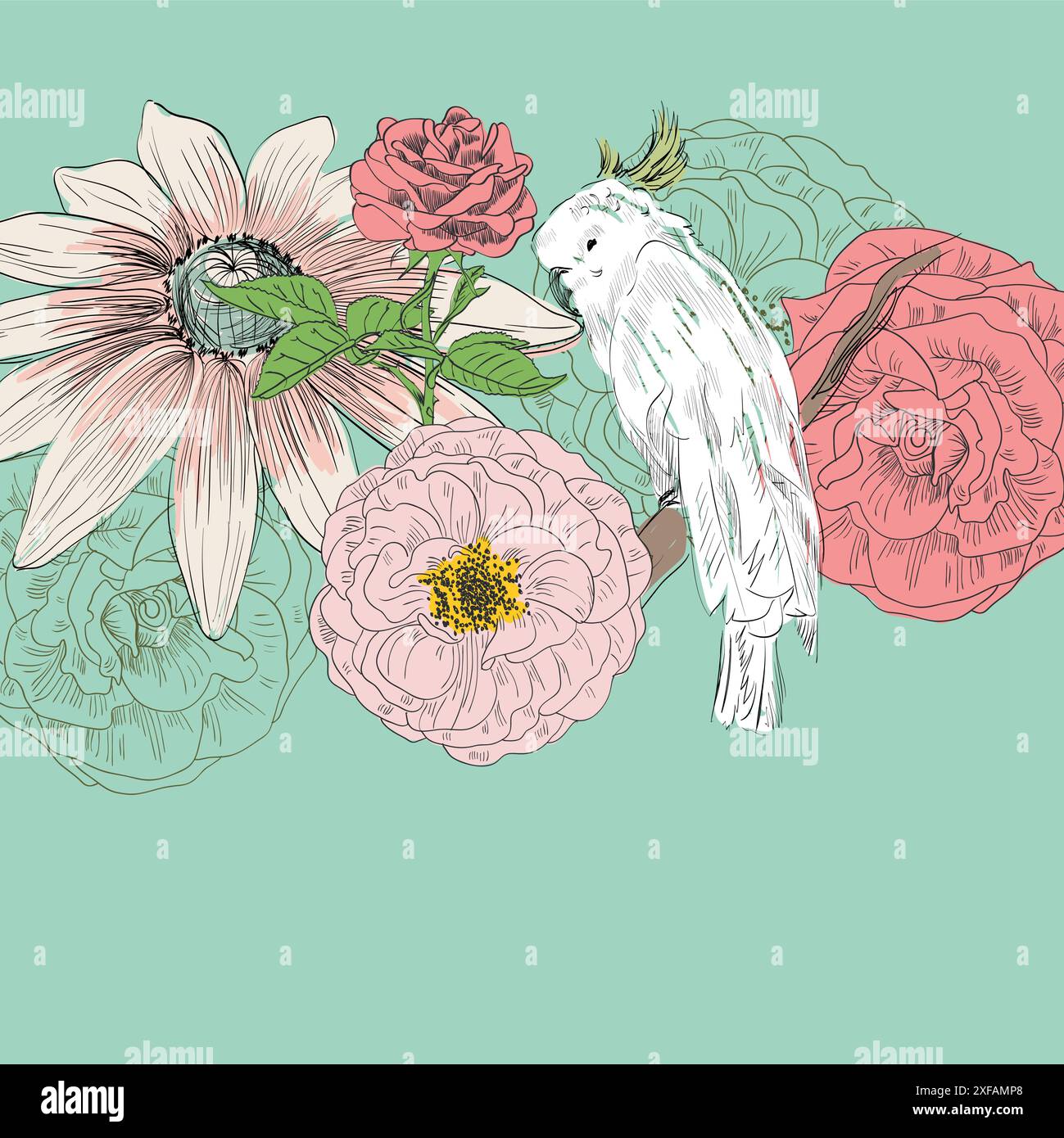 Vector sketch of a parrot with flowers. Hand drawn illustration Stock ...