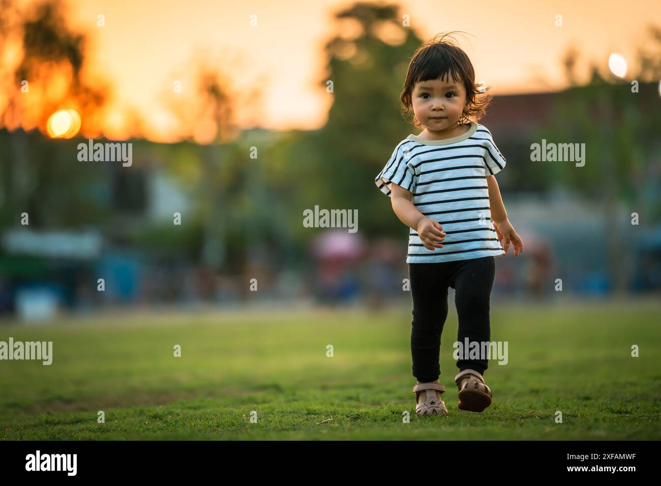 happy toddler girl walking on grass field in the park at sunset Stock ...