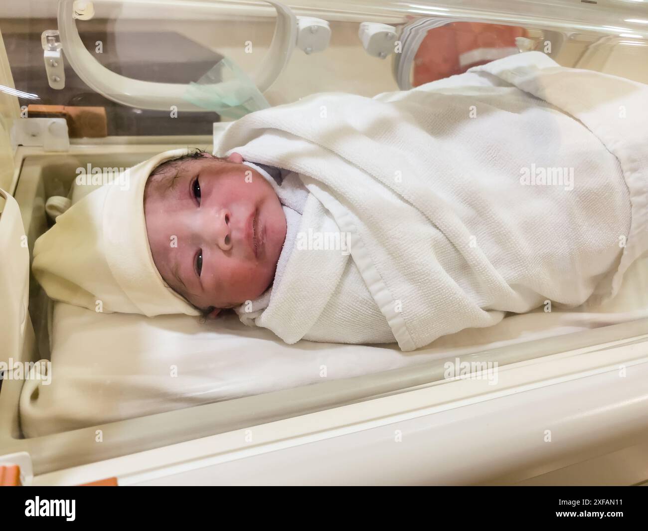 newborn baby in the incubator at hospital Stock Photo - Alamy