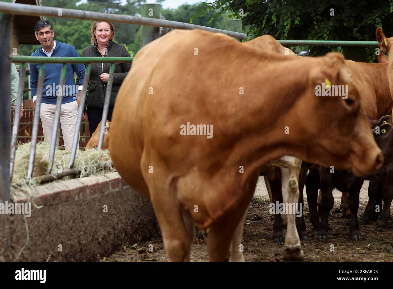 British Prime Minister Rishi Sunak and Conservative Party Candidate for ...