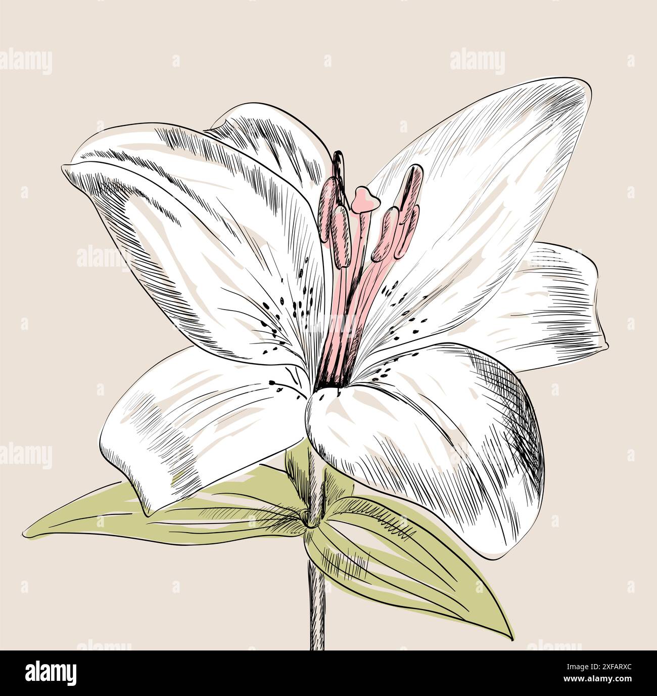 cute pattern with lily. vector hand-drawn illustration Stock Vector ...