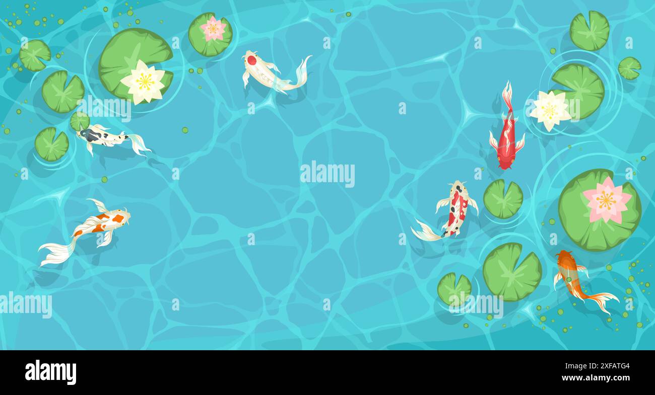 Lake top view background with swimming koi fish Stock Vector Image ...