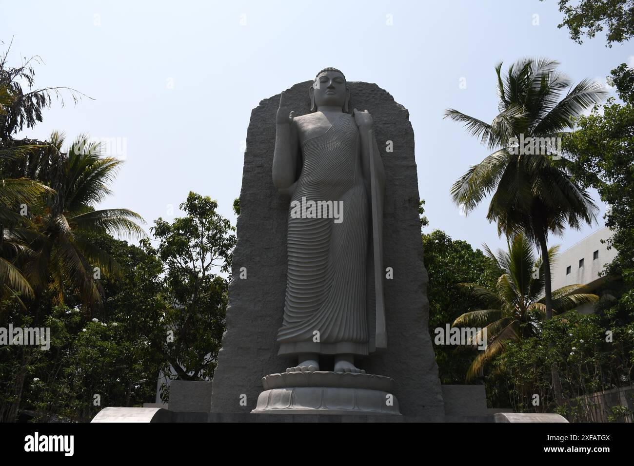 A large stone Buddha statue surrounded by palm trees under a clear sky ...